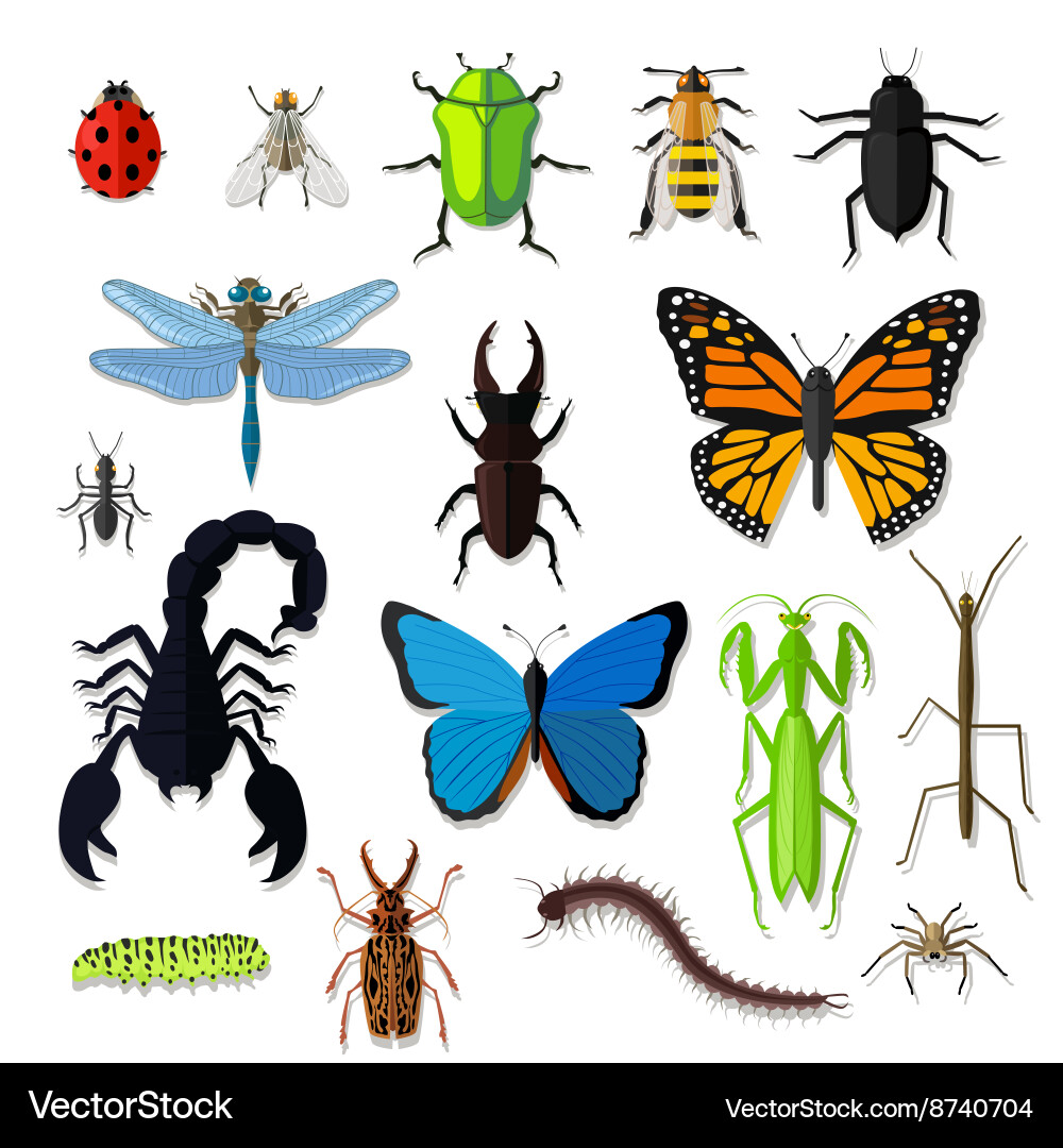 Set of various insects design flat Royalty Free Vector Image
