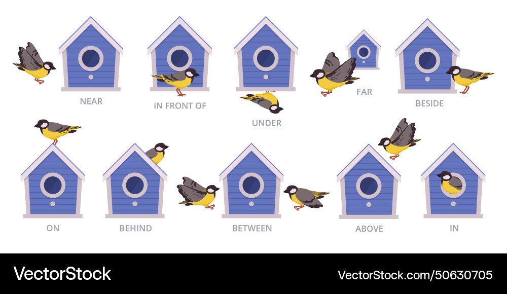 Birdhouse english prepositions birds position Vector Image