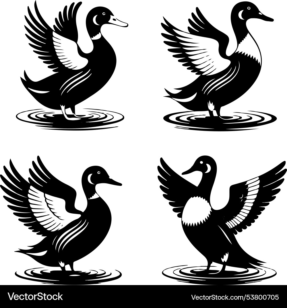 Duck black and white Royalty Free Vector Image