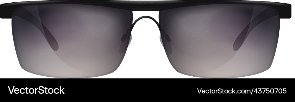 Sunglasses realistic Royalty Free Vector Image