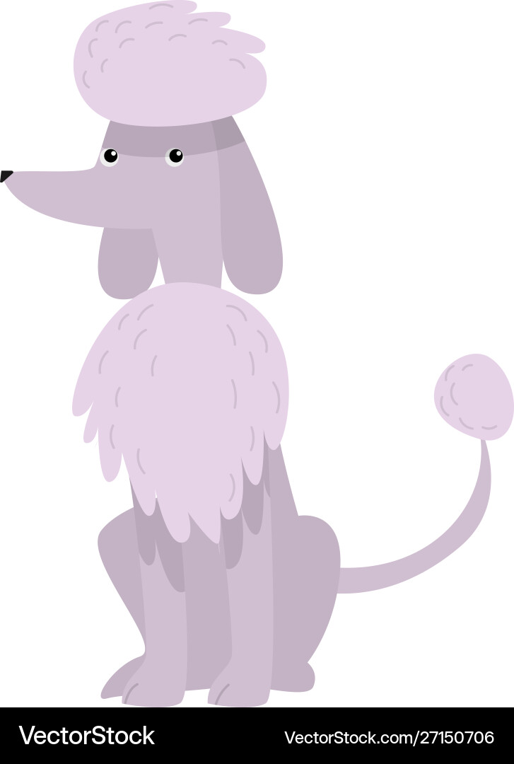 Poodle dog raster in flat cartoon Royalty Free Vector Image