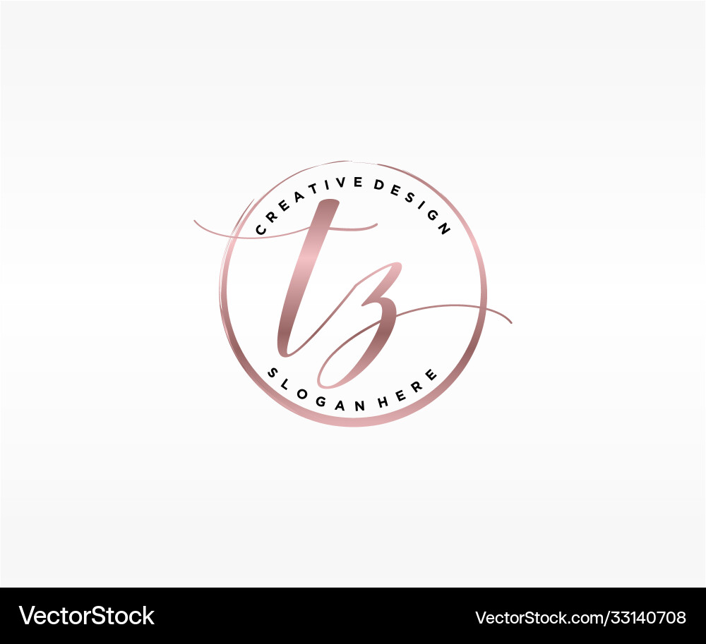 Initial tz handwriting logo with circle template Vector Image