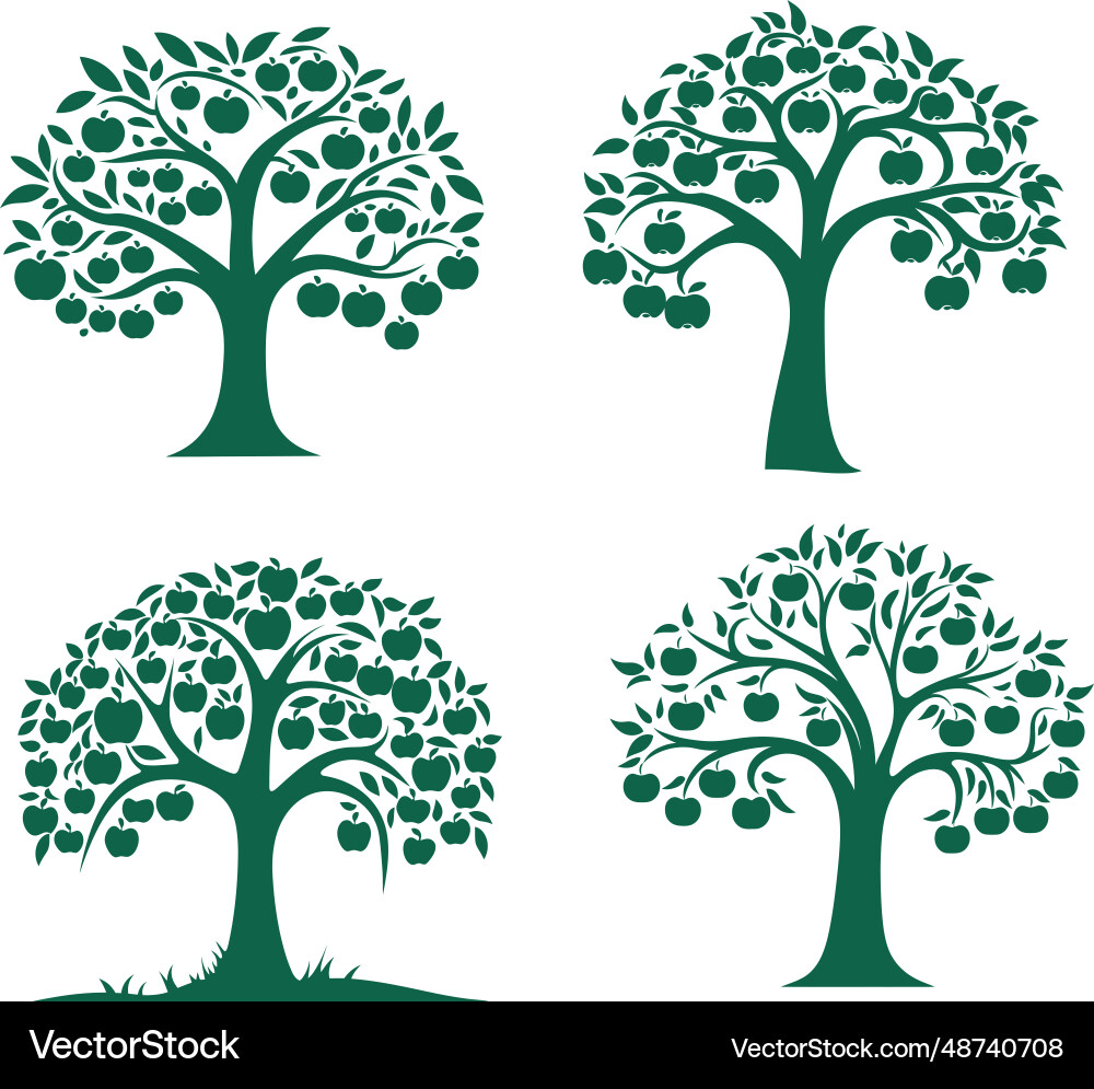 Orchard tree Royalty Free Vector Image - VectorStock