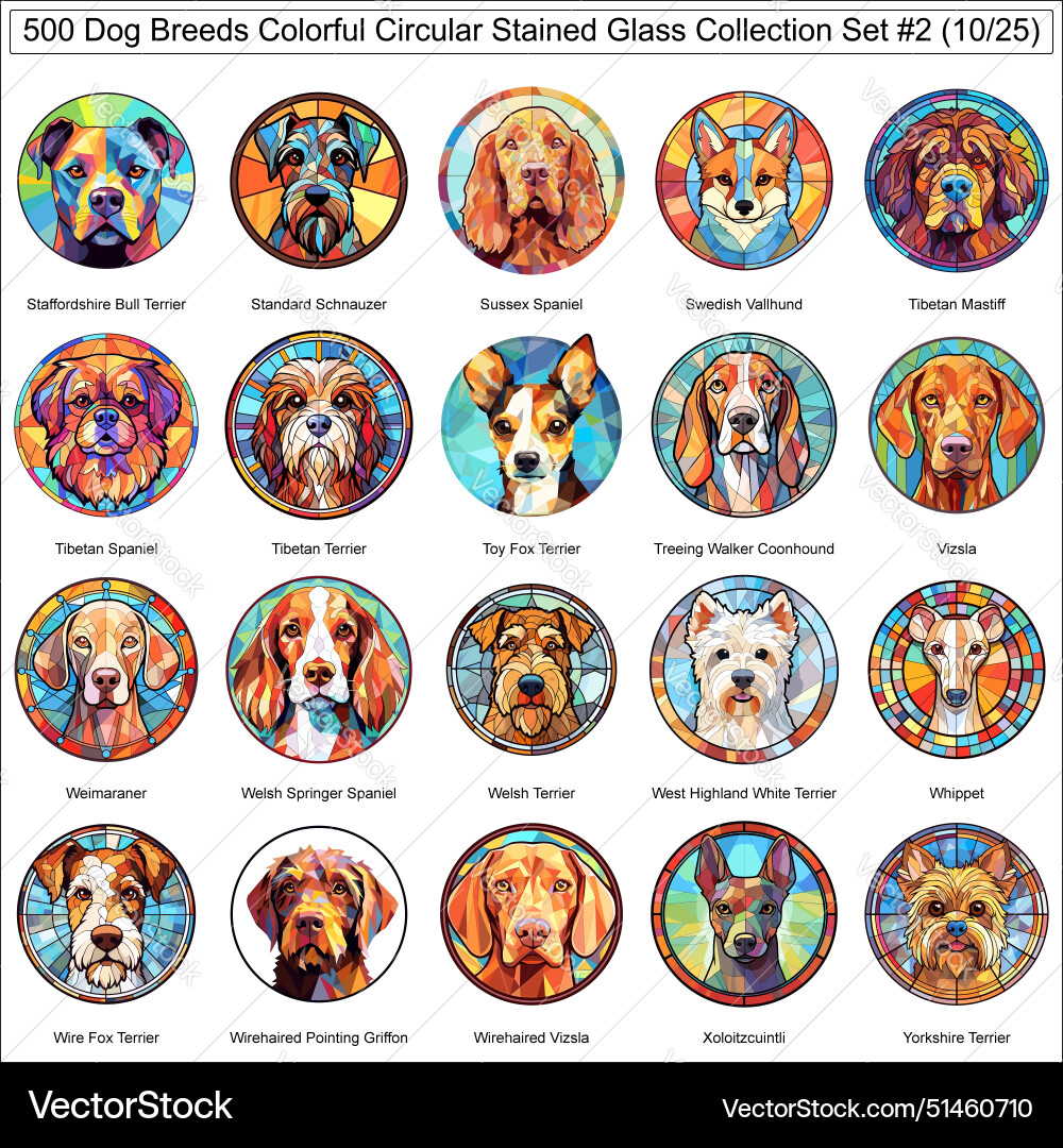 Colorful dog breeds circular stained glass dogs Vector Image