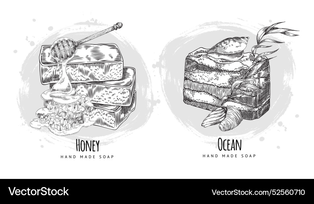 Handmade natural soap with algae and honeycomb Vector Image