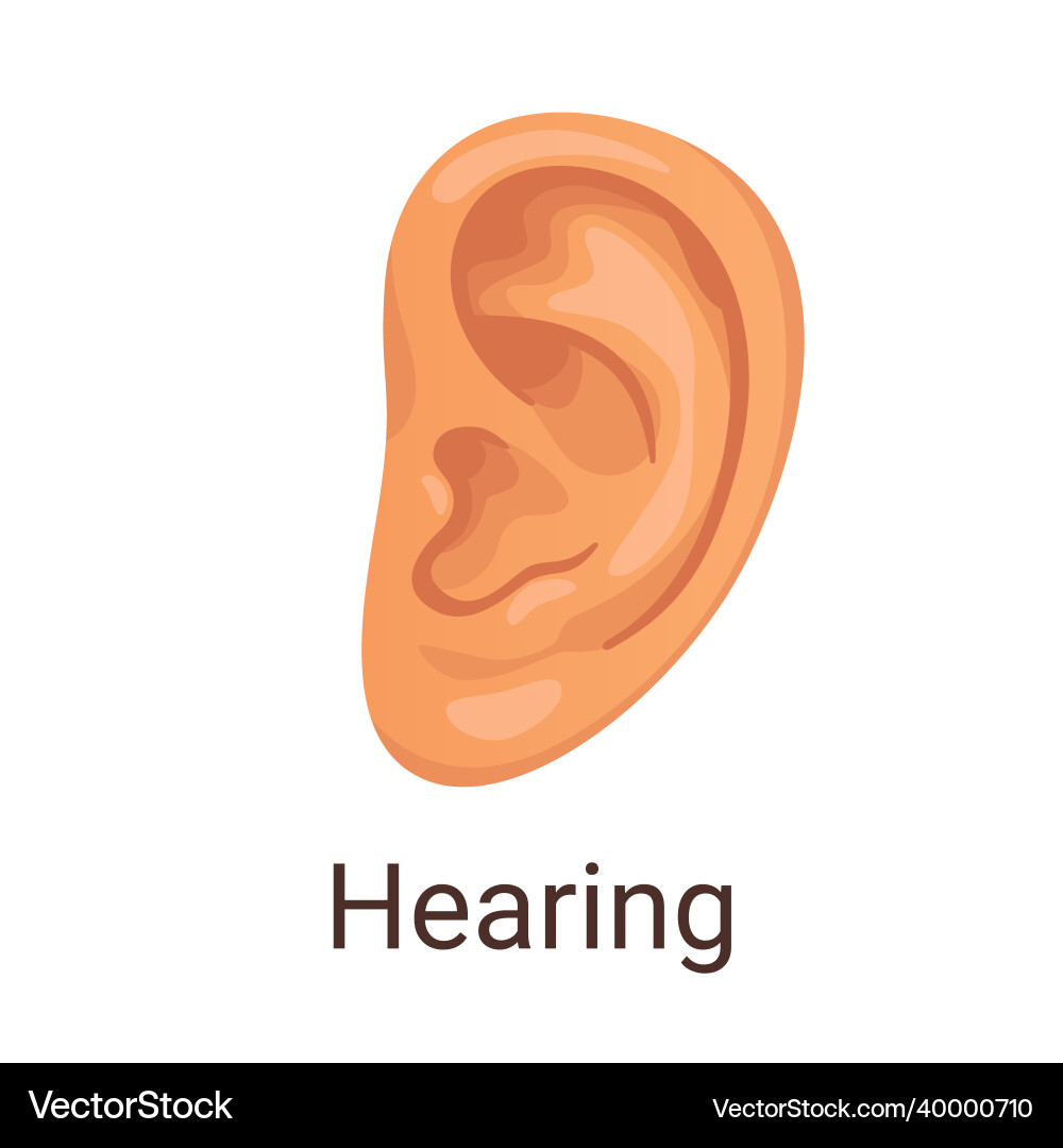 One of five senses - hearing Royalty Free Vector Image