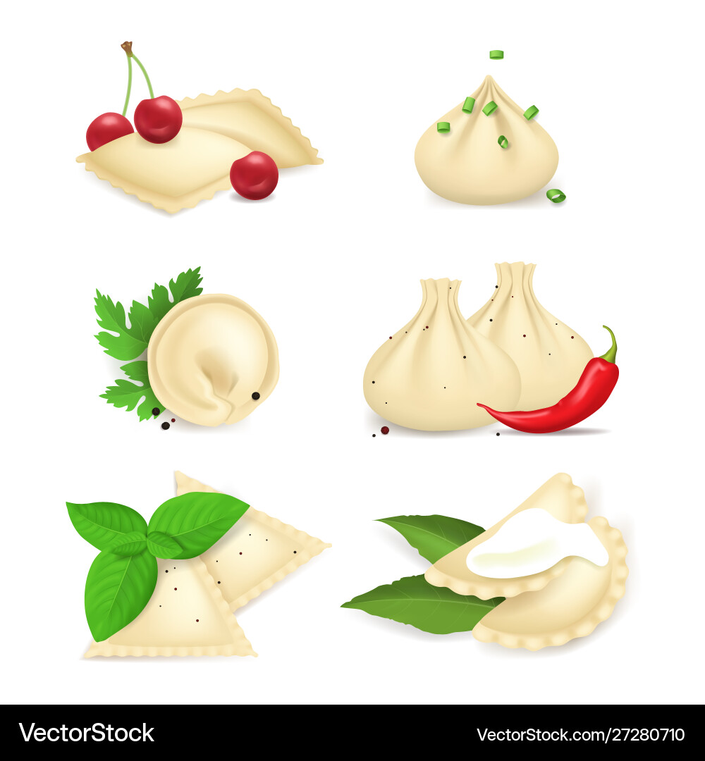 Realistic 3d detailed different dumplings set Vector Image