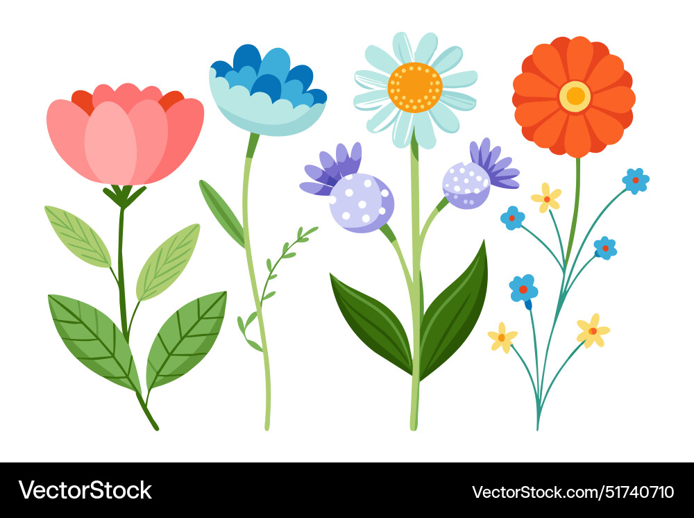 Spring flowers cartoon wildflowers chamomile Vector Image