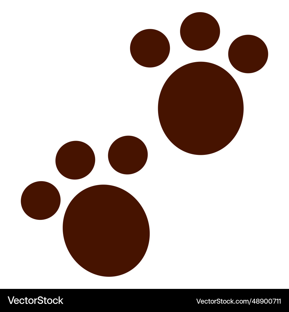 Koala animal footprints Royalty Free Vector Image