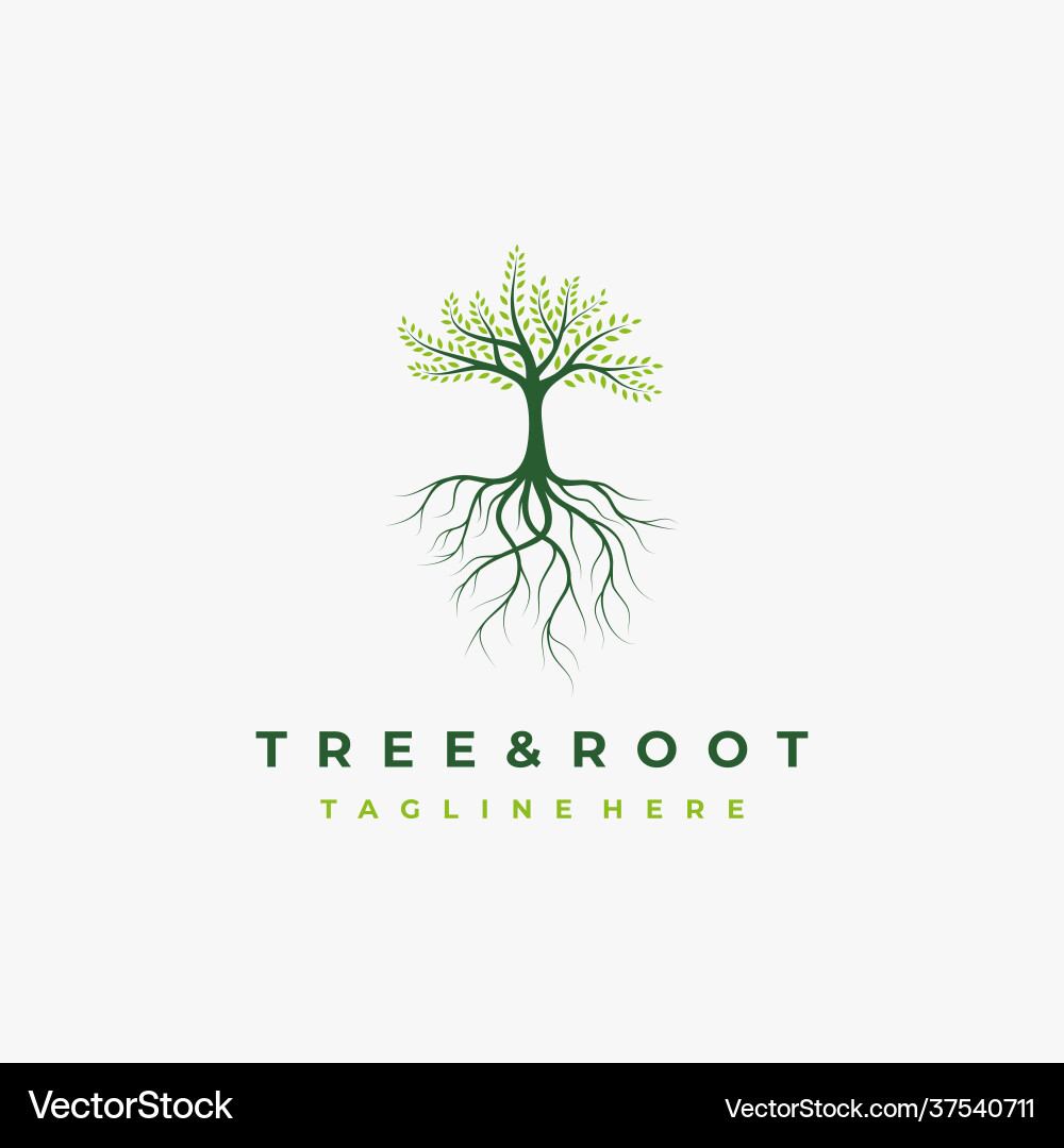Vibrant tree logo design and root Royalty Free Vector Image