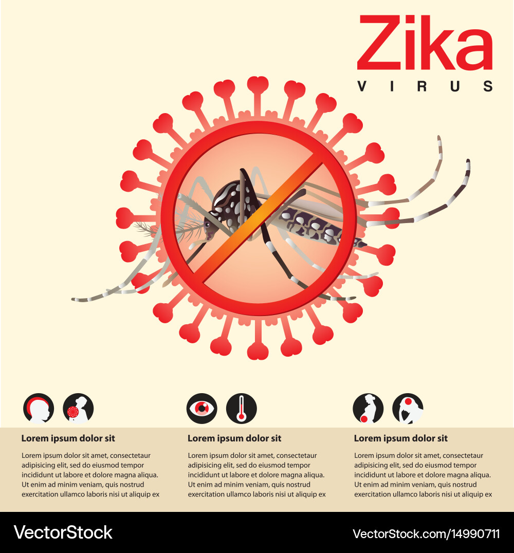 Zika virus Royalty Free Vector Image - VectorStock