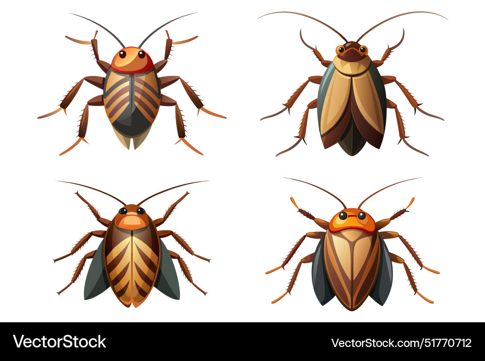 Cockroach set pro style Royalty Free Vector Image