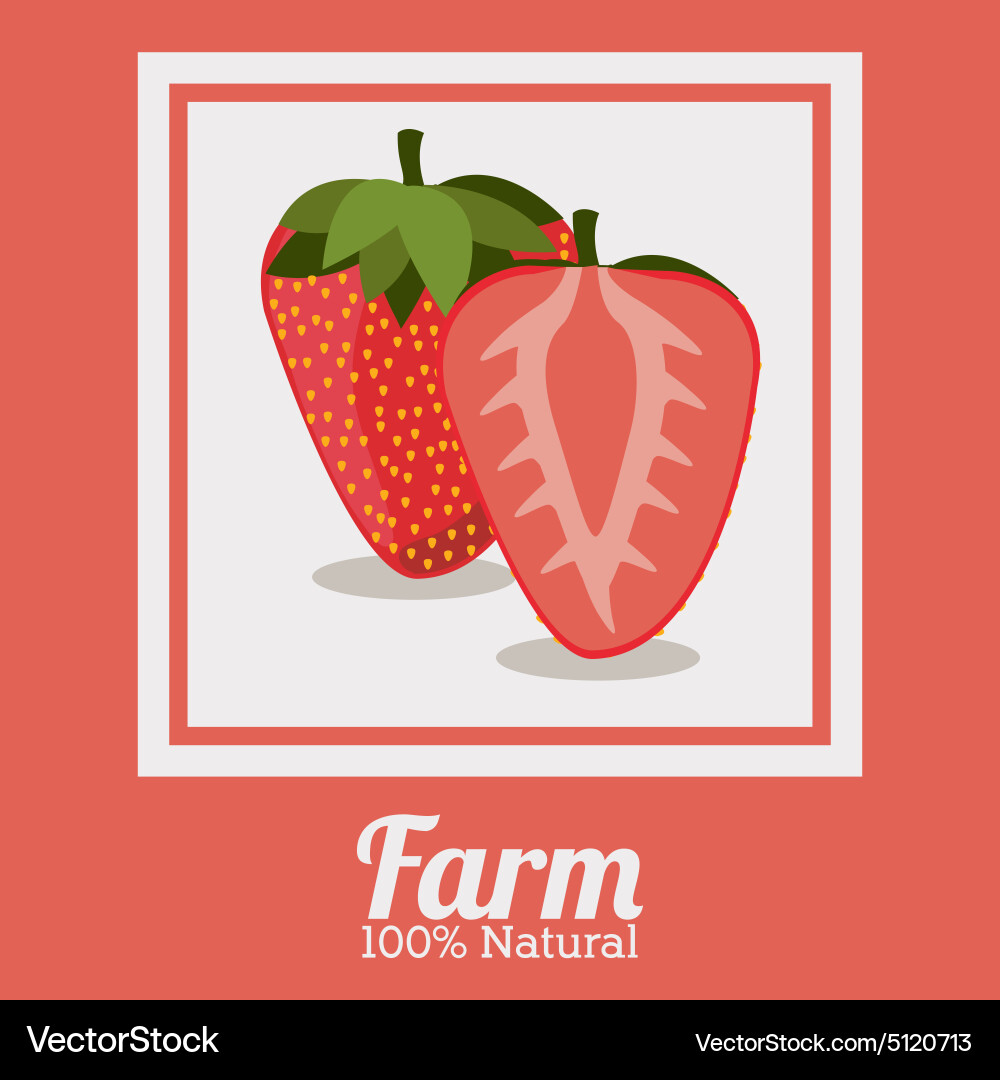 Farm design Royalty Free Vector Image - VectorStock