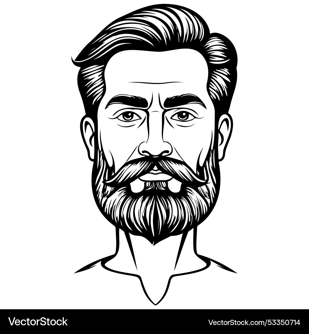 Beard sketches hand drawn line transparent Vector Image
