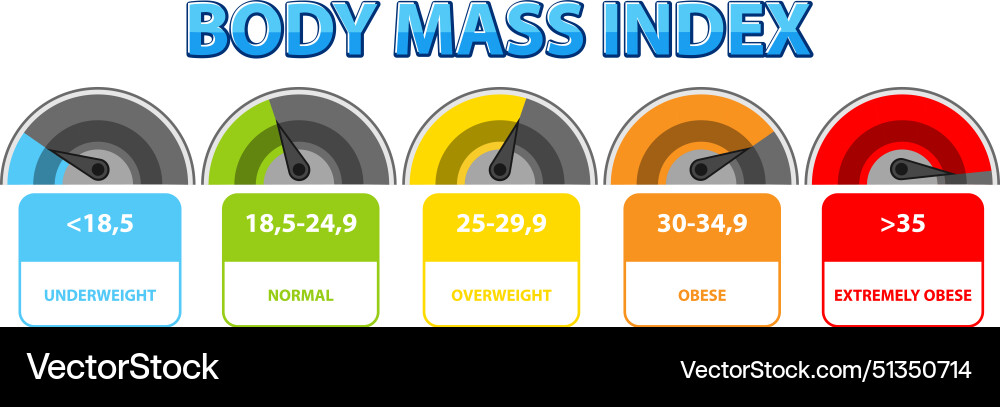 Bmi ranges from underweight to extremely obese Vector Image