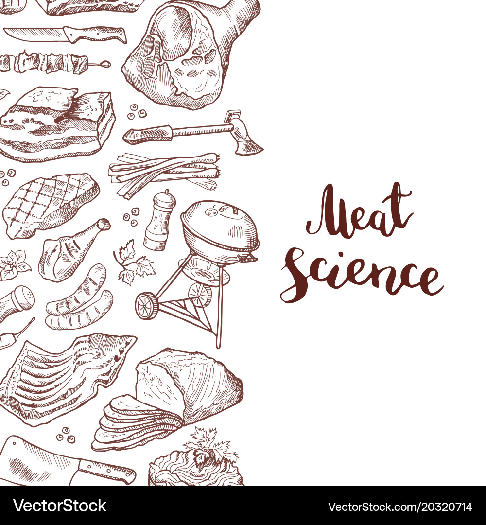 Hand drawn meat elements Royalty Free Vector Image