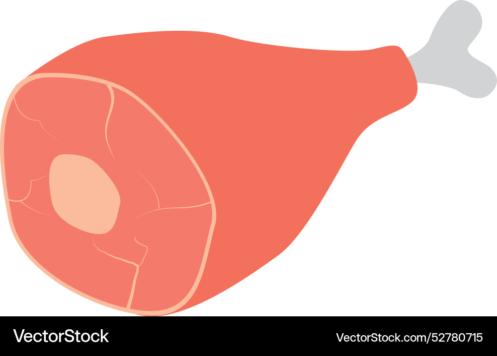 A whole raw pork knuckle with bone Royalty Free Vector Image