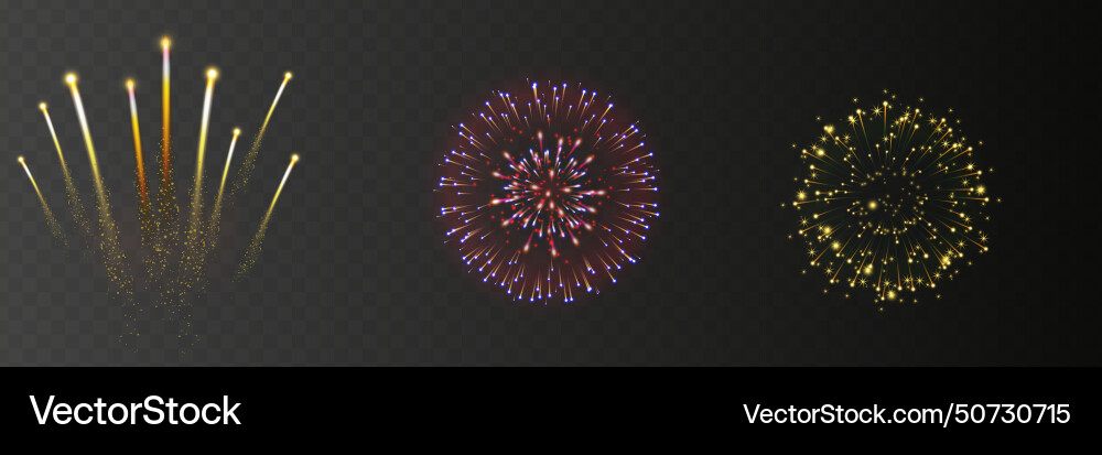 Brightly colorful fireworks on the background Vector Image