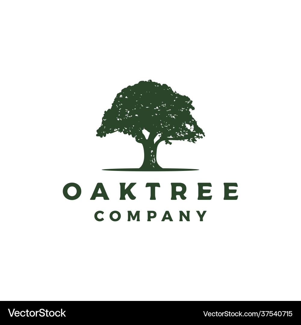 Vintage retro oak banyan maple tree service logo Vector Image