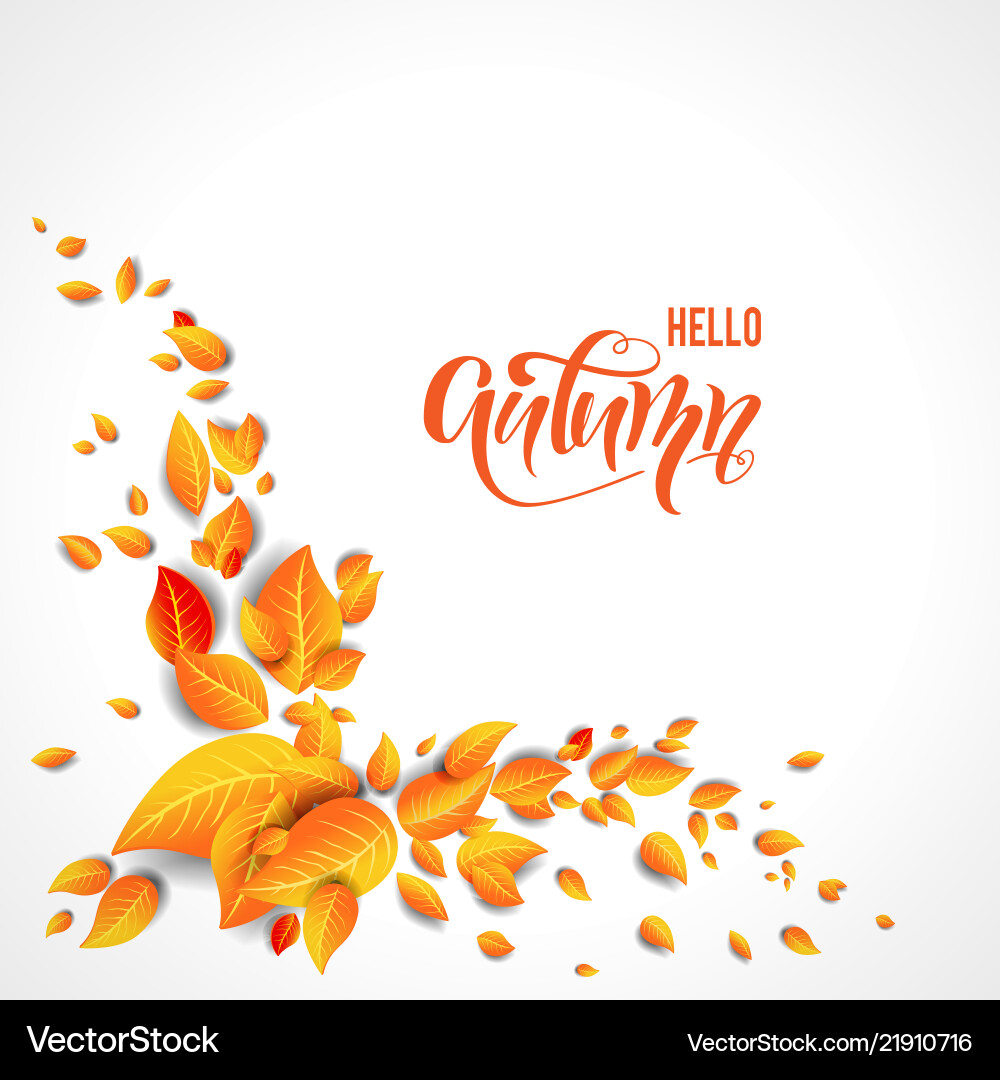 Beautiful fall leaves Royalty Free Vector Image