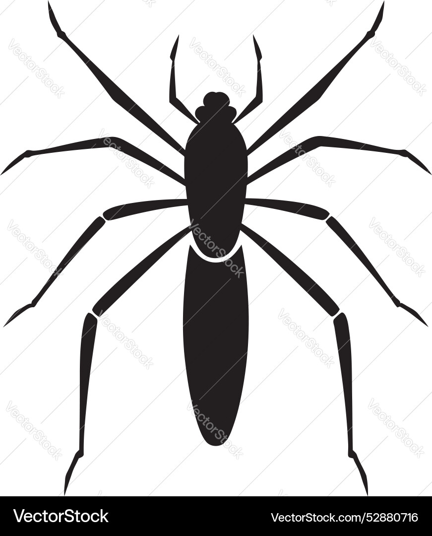 Natures insect design bug profile Royalty Free Vector Image