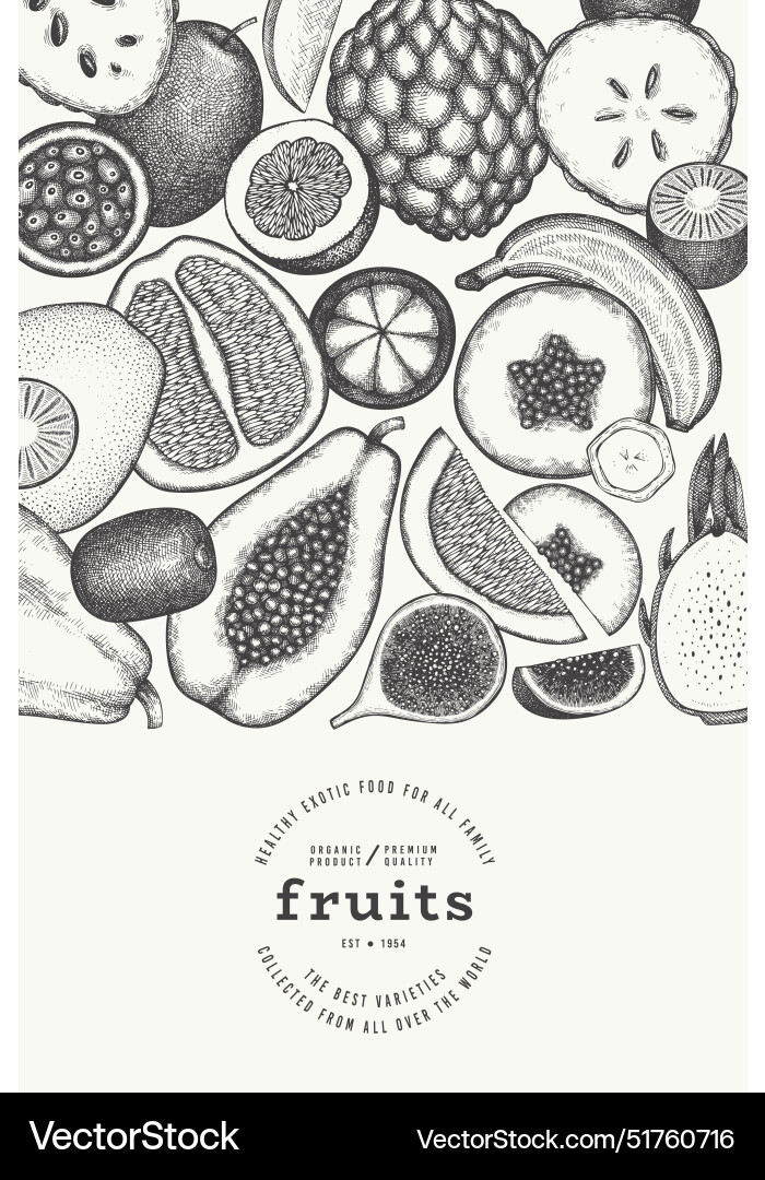 Tropical fruit design template hand drawn exotic Vector Image