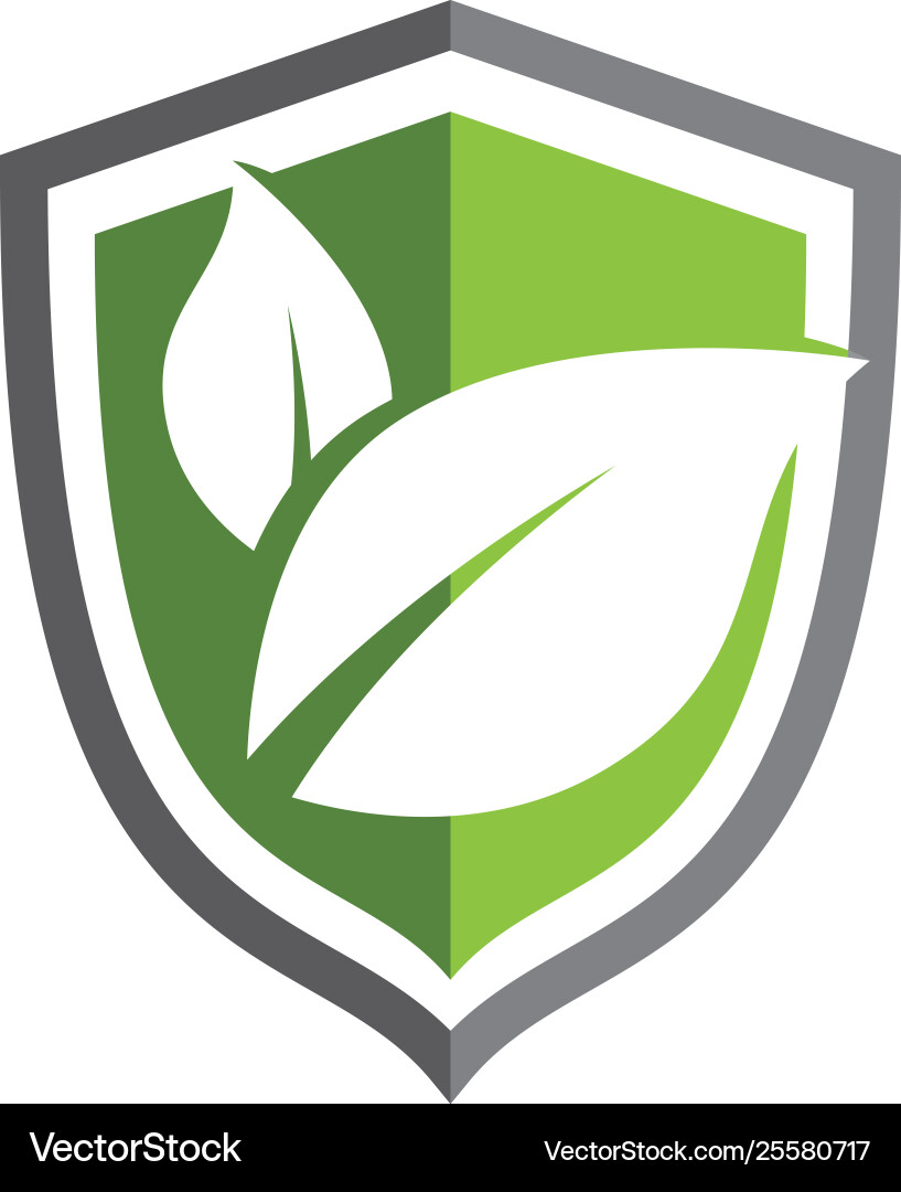 Eco shield design Royalty Free Vector Image - VectorStock