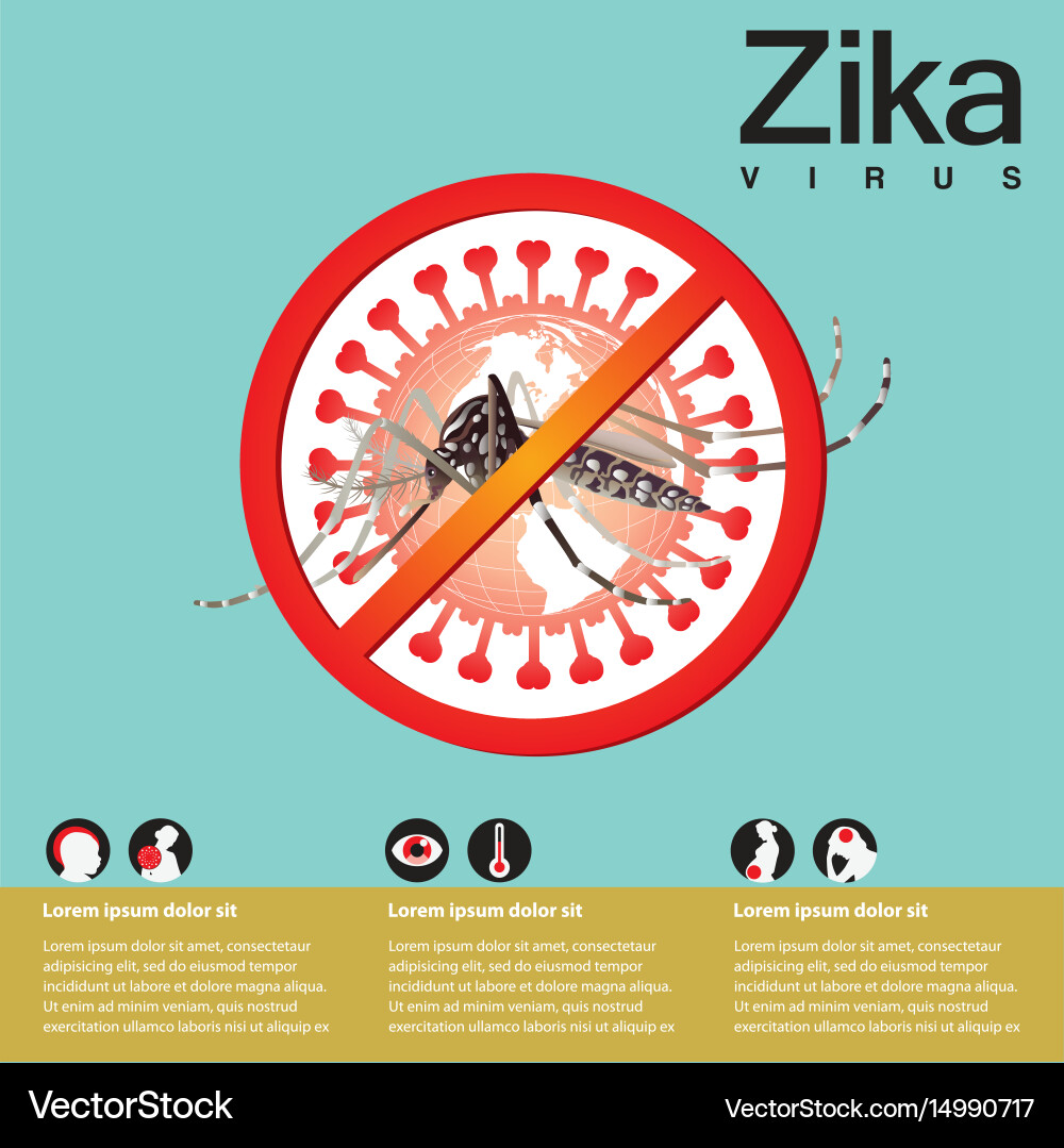Zika virus Royalty Free Vector Image - VectorStock