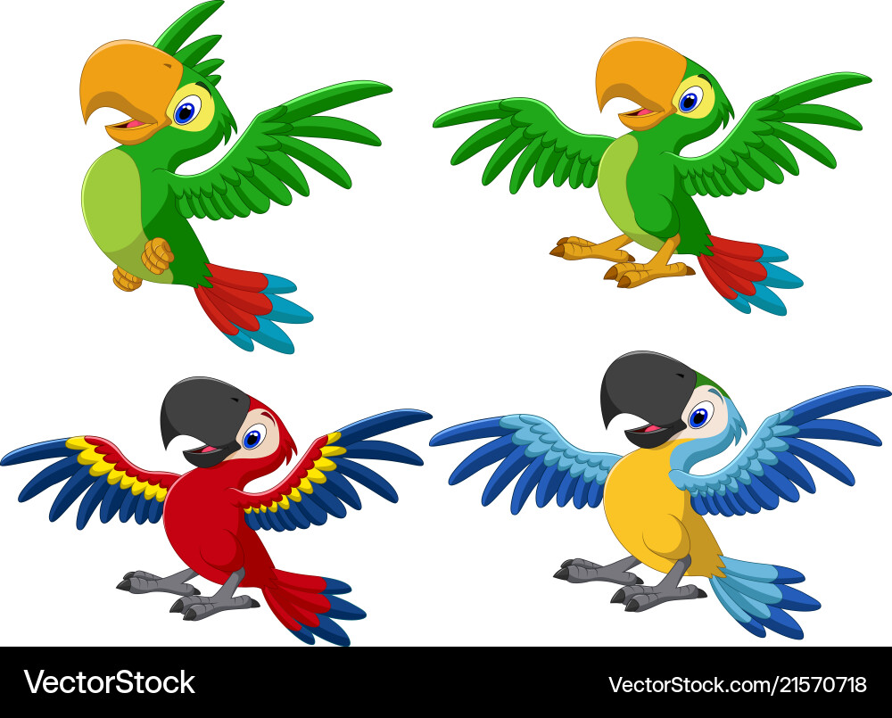 Cartoon macaw collection set Royalty Free Vector Image