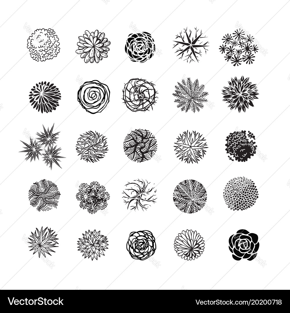 Different plants and trees set for landscape Vector Image