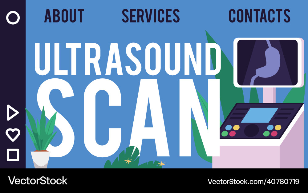 Ultrasound scan horizontal banner Royalty Free Vector Image