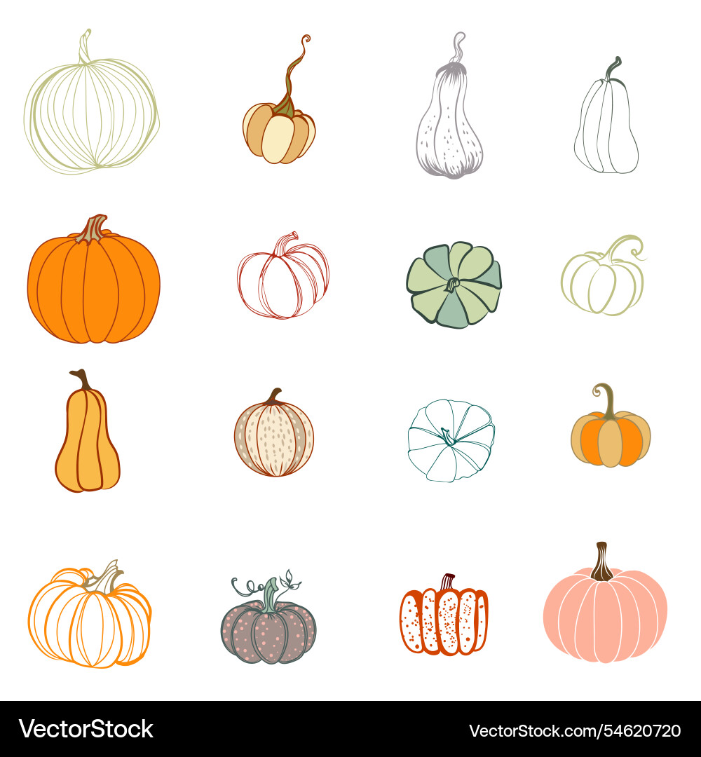 A set of pumpkins in various shapes Royalty Free Vector