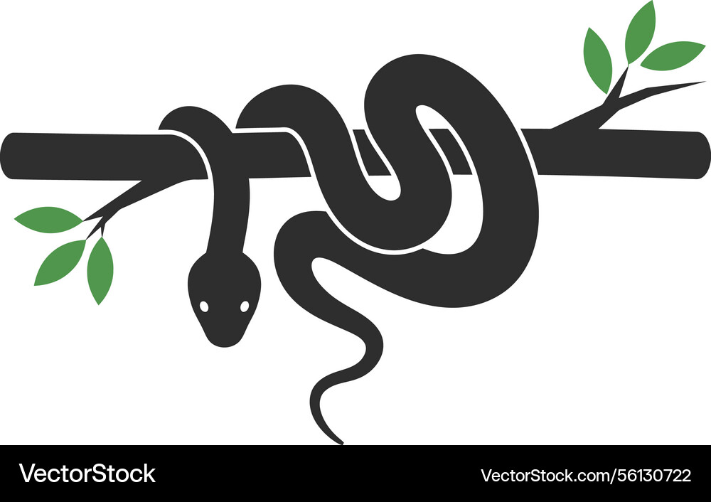 Black snake coiling around a branch with green Vector Image