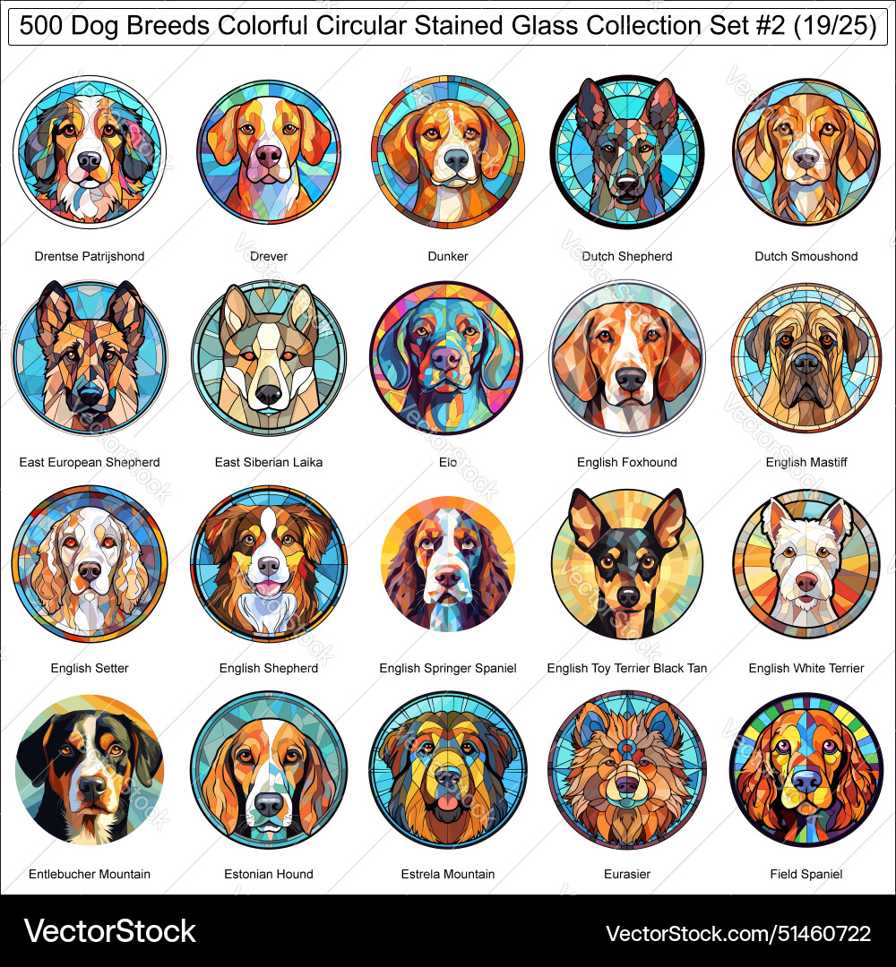 Colorful dog breeds circular stained glass dogs Vector Image