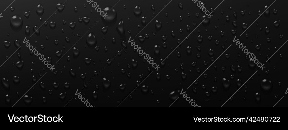 Condensation water drops on black background Vector Image