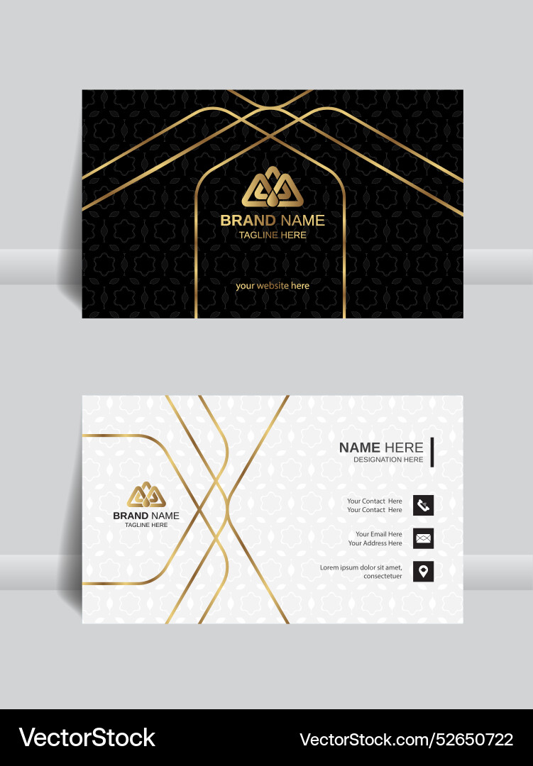 Professional business card template design Vector Image