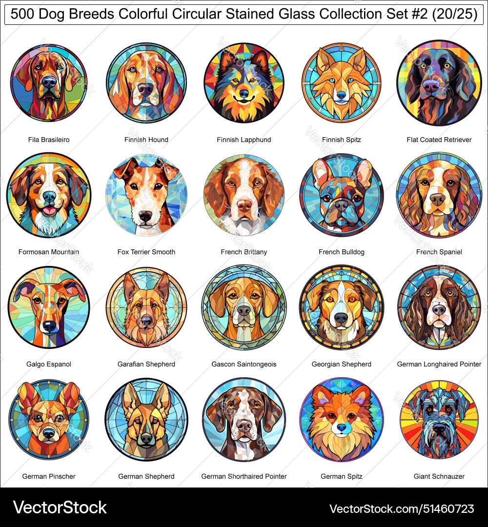 Colorful dog breeds circular stained glass dogs Vector Image
