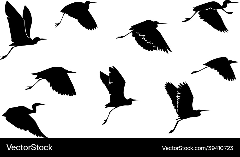 Flock of egrets flying silhouette Royalty Free Vector Image