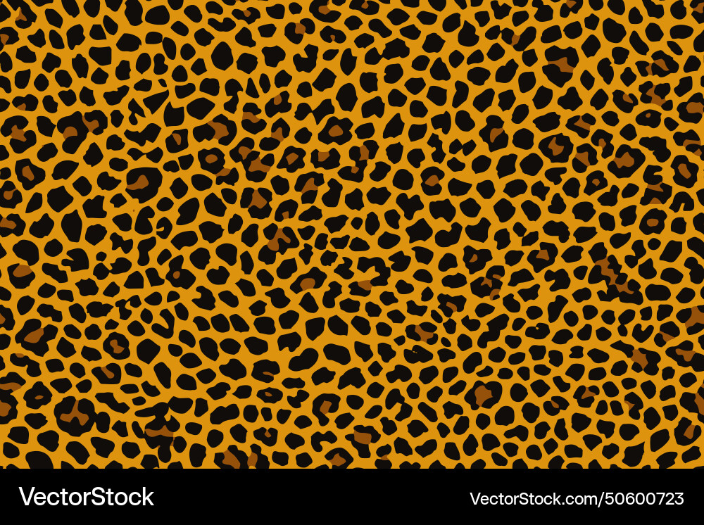 Leopard skin seamless animal pattern for design Vector Image