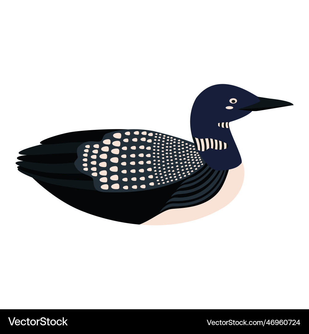 Cute cartoon loon bird flat Royalty Free Vector Image