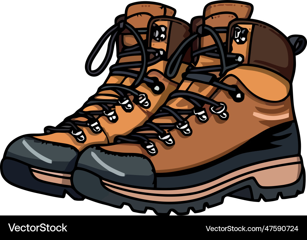Pair of hiking boots Royalty Free Vector Image