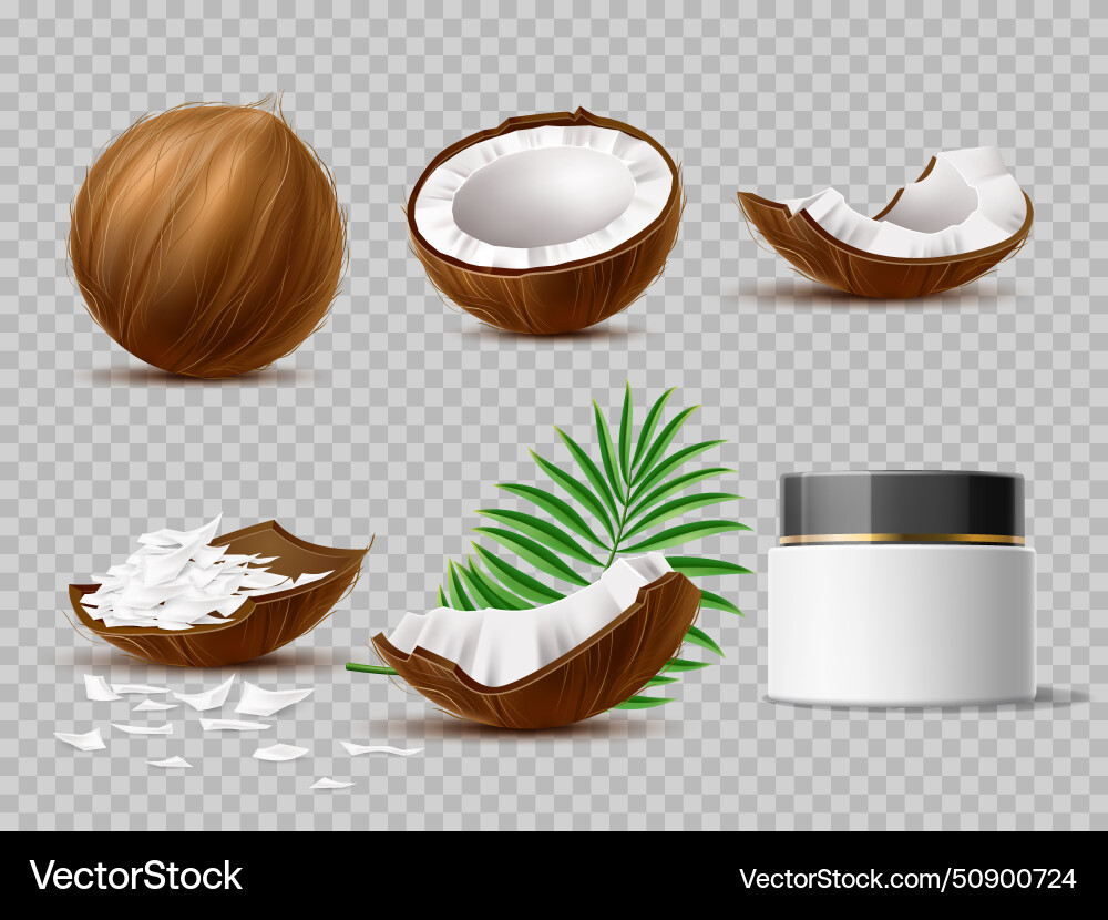 Realistic coconut blank butter packaging cream Vector Image
