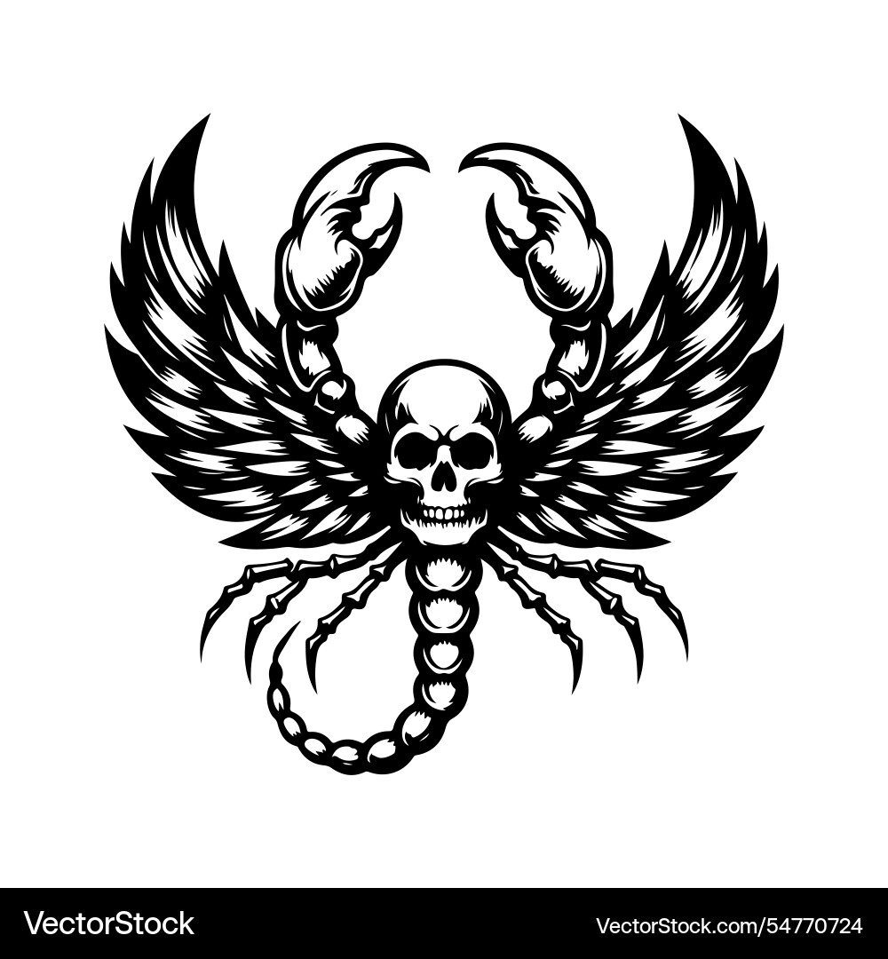 Scorpion wings with skull silhouette dark Vector Image