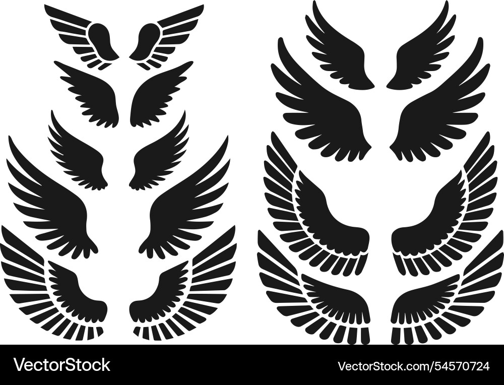 Versatile feather wing set for tattoo templates Vector Image
