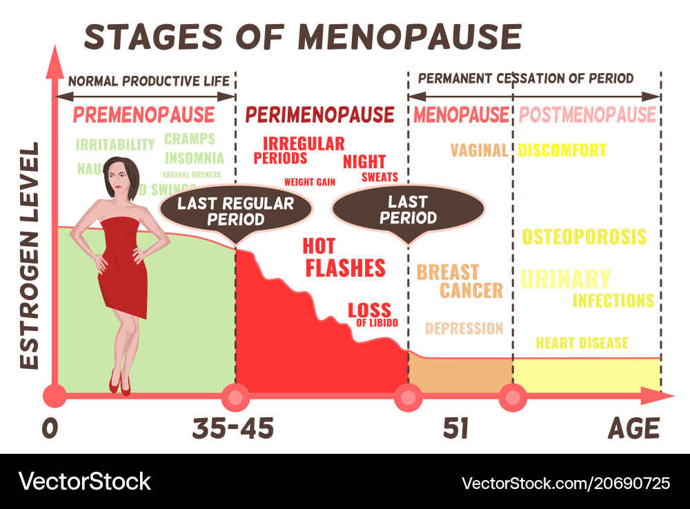 Menopause Stages & Symptoms Royalty Free Vector Image