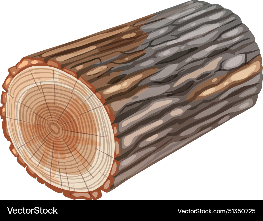 Realistic wooden log with detailed bark texture Vector Image