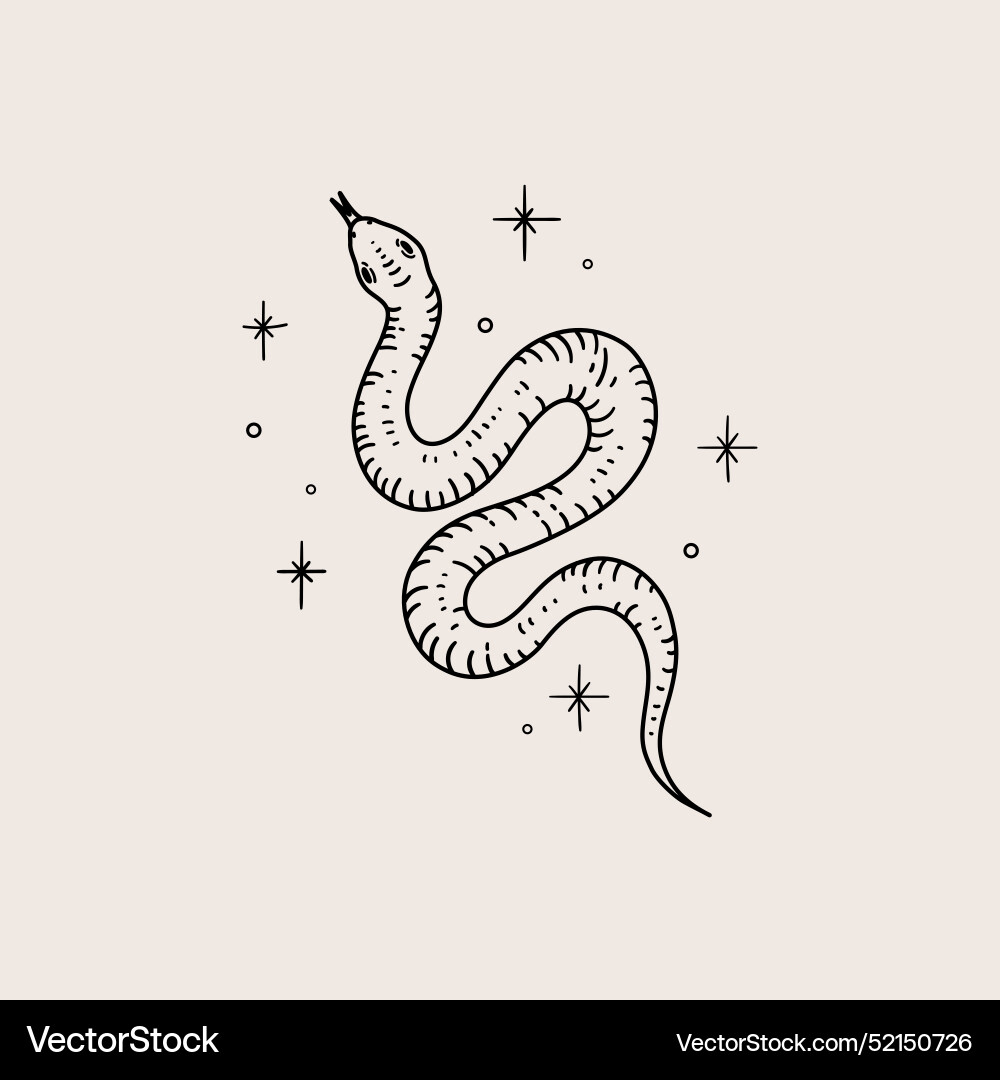Card with snake and stars Royalty Free Vector Image