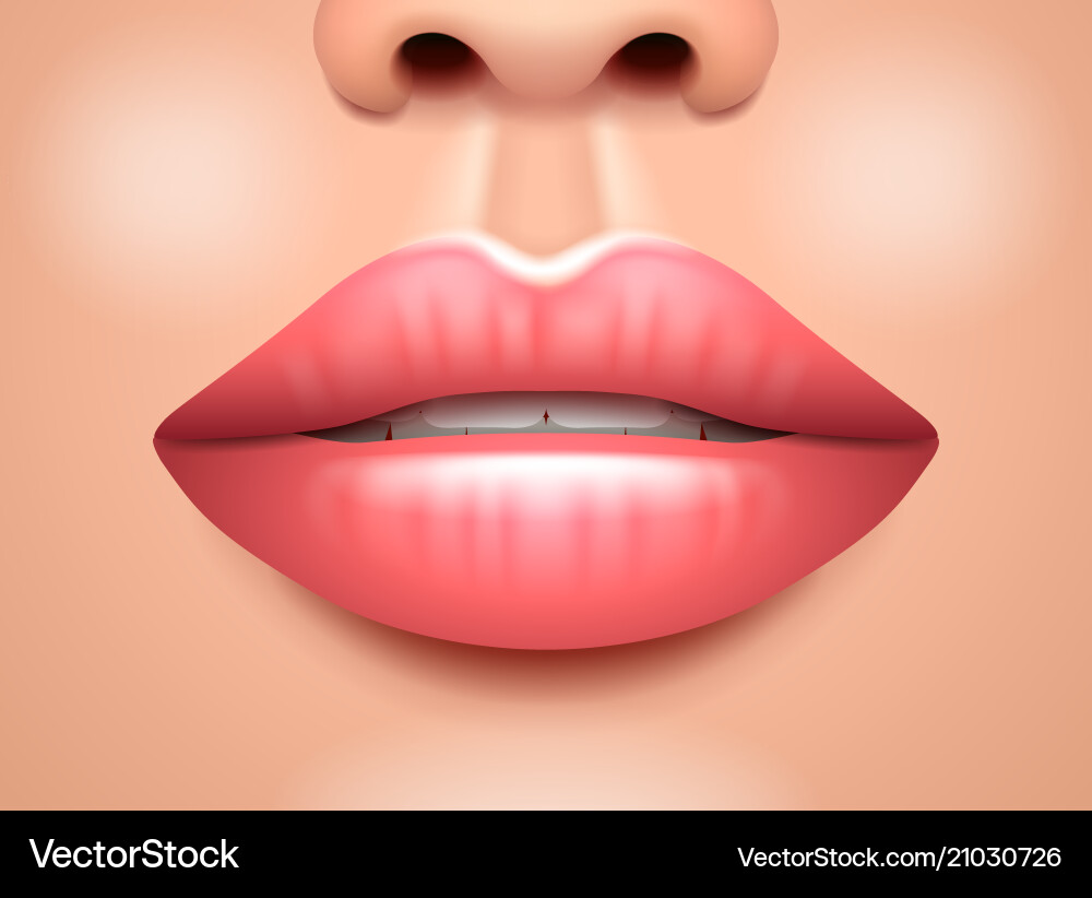 Woman lips face close up Royalty Free Vector Image