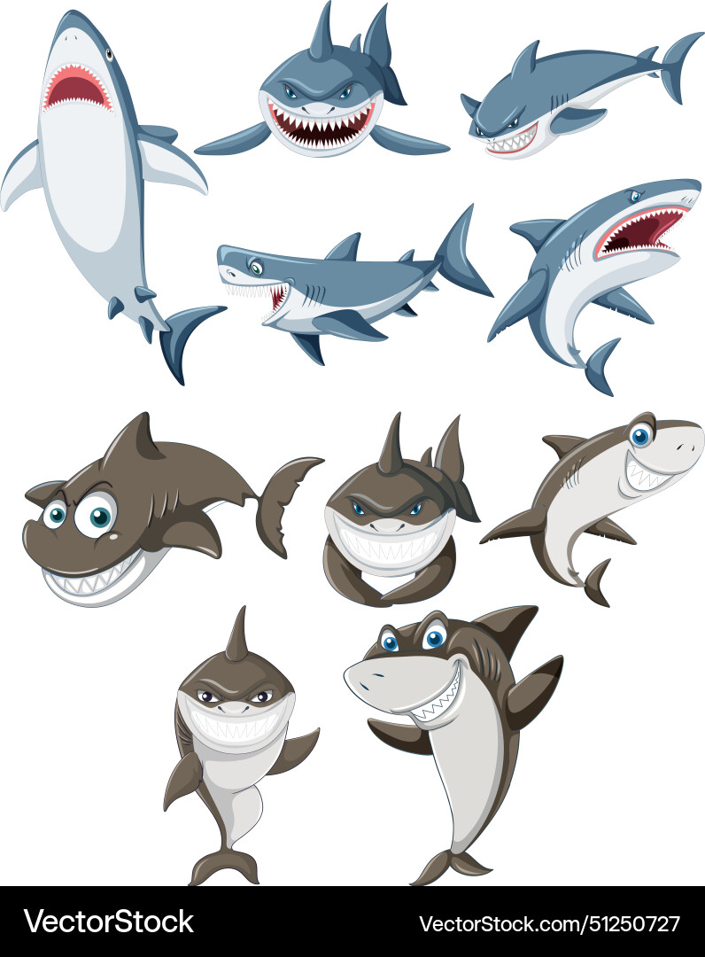 Collection of different cartoon shark characters Vector Image