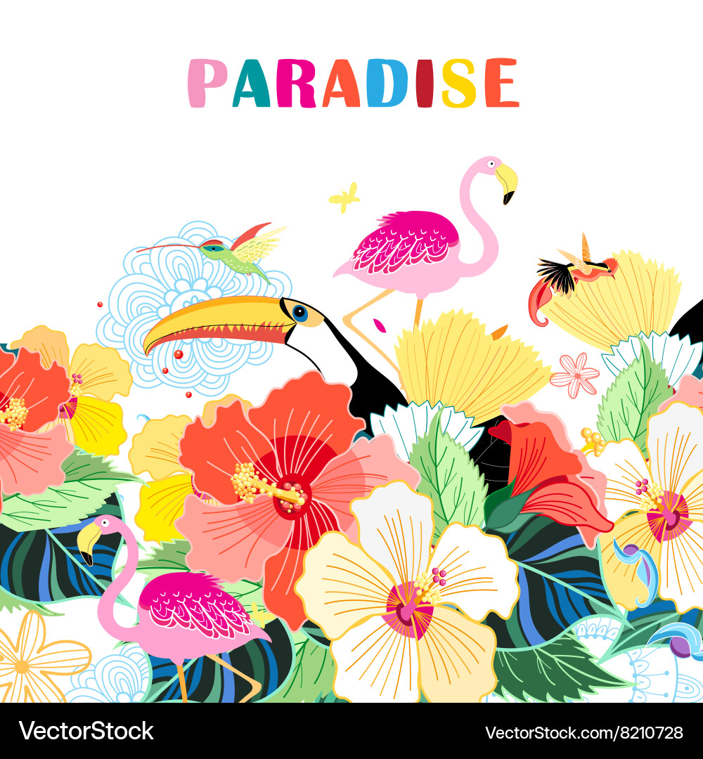 Beautiful of bird paradise Royalty Free Vector Image